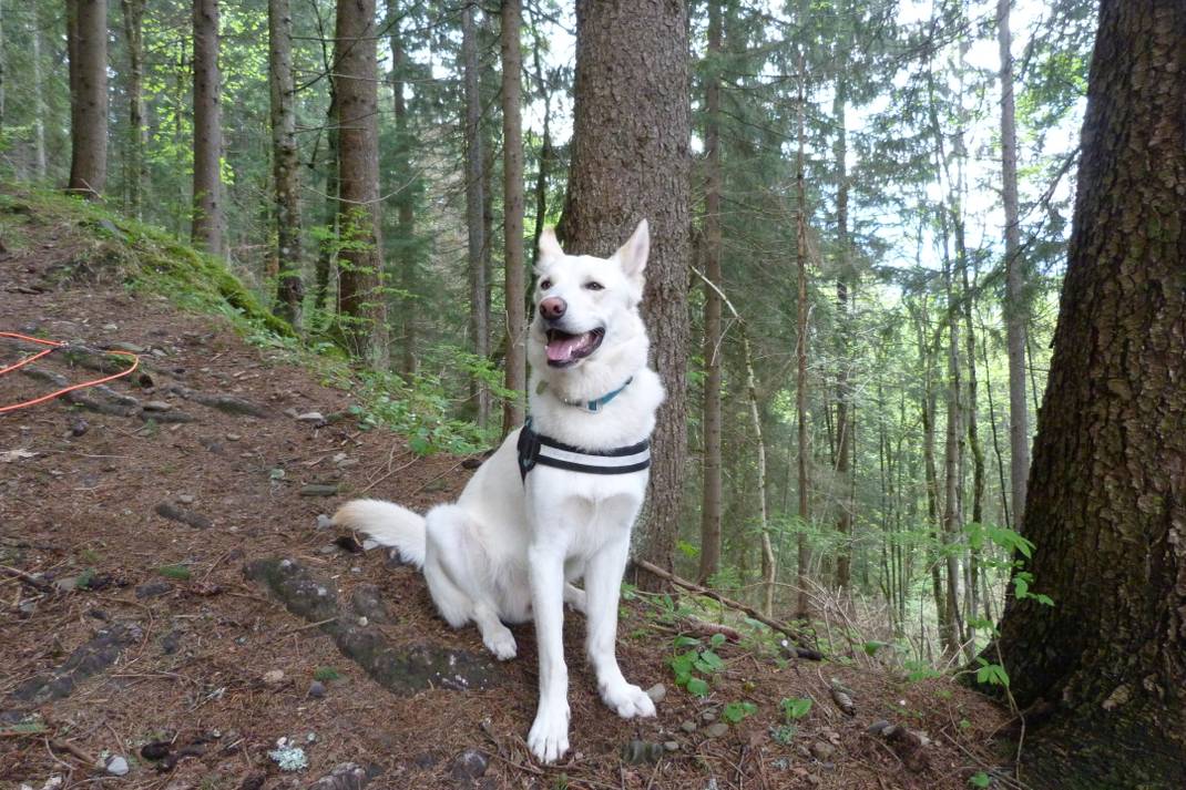 Raising Millo | A blog about the challenges and joys of raising a ...